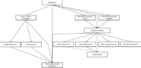 Hypothesized Causal Paths Of The Present Hypotheses Hypothesis 7