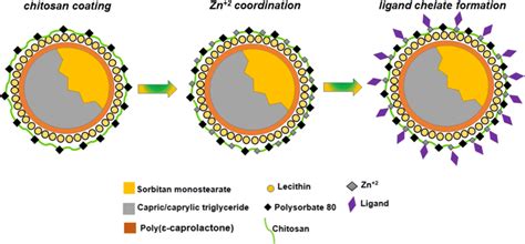Synthesis Of Nanoformulations After The Self Assembling Of Materials