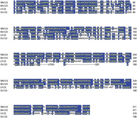 Sequence Alignment Of Wb Sequence Alignment Of Wb With