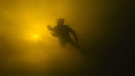 De Van Waveren Tapes 2012 Mubi