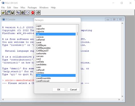 installing r package in bluesky statistics v10