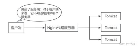 Nginx下载安装，什么是nginx，什么是反向代理，windows下、linux下安装nginx保姆级教程）
