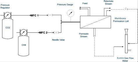 Schematic Diagram Of Membrane Permeation System Download Scientific