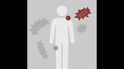 Beginner Microbiome Analysis 2024 04 Functional Prediction And Additional Analyses Youtube