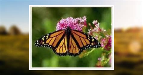 Catherine Dadabo Obituary November 27 2015 Rose Lawn Funeral Home