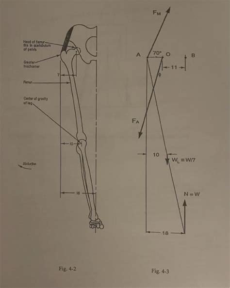 solved fig 4 2 fig 4 3with reference to figs 4 2 4 3 of