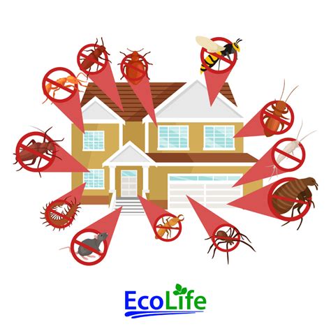Pest Shield Services Monthly Subscription Ecolife