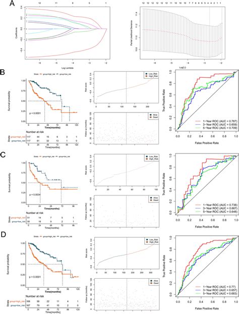 Identification Of Lncrna Prognostic Markers With Abnormal Copy Number