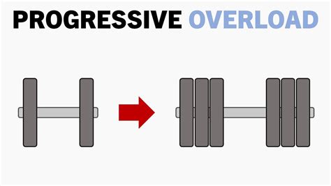 How To Progressive Overload Hypertrophy At Cristina Lee Blog