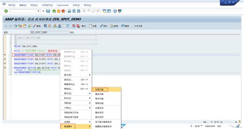 【sap Abap】sap第四代增强开发demoabap Enhancement Section Csdn博客