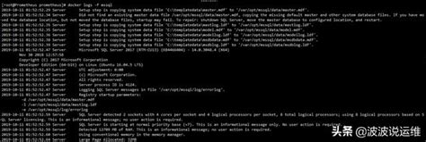 启动sqlserver基于prometheusgrafana监控sqlserver数据库，值得收藏 Csdn博客
