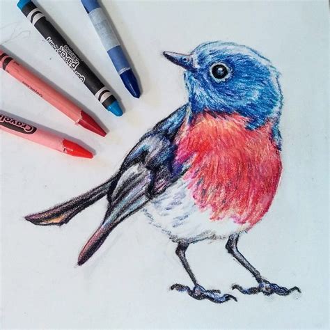 What Is Crayon Drawing At Carole Alden Blog