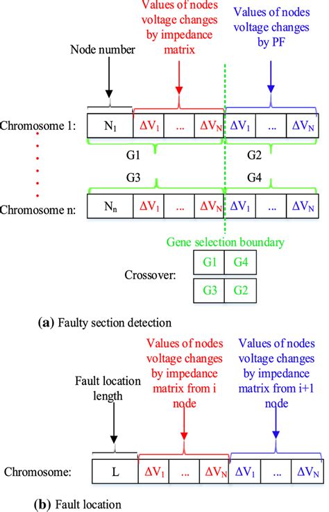 Chromosome Structure Of A Genetic Algorithm For A Identifying The Download Scientific Diagram