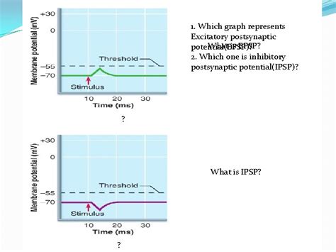 Neurophysiology Label This Diagram 1 2 3 4