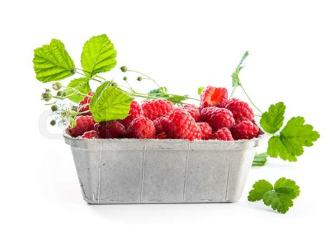 Raspberry Container Stock Image Colourbox Raspberry Container Stock Image Colourbox