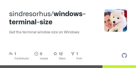 GitHub Sindresorhus Windows Terminal Size Get The Terminal Window Size On Windows