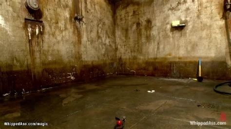 Gia Dimarco Sex Submission Pornmedium Com