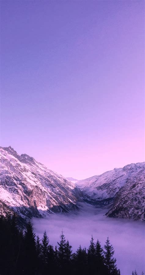 Purple Phone 4k Wallpapers Wallpaper Cave