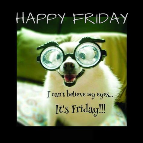 Tim Weber 720 394 1653 On Linkedin Weekendwonders Furryfriday