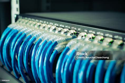 Rj45 커넥터 또는 Utp Cat6 케이블 데이터 서버 룸에 네트워크 스위치에 연결합니다 닫고 배경 흐림 케이블에 대한 스톡