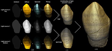 3d Phong Rendering And Colored Light System Principle Of The 3d Phong