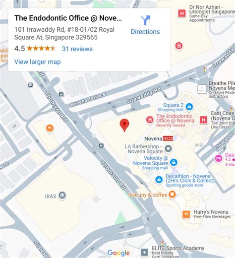 Apical Surgery Step By Step What To Expect Before During And After