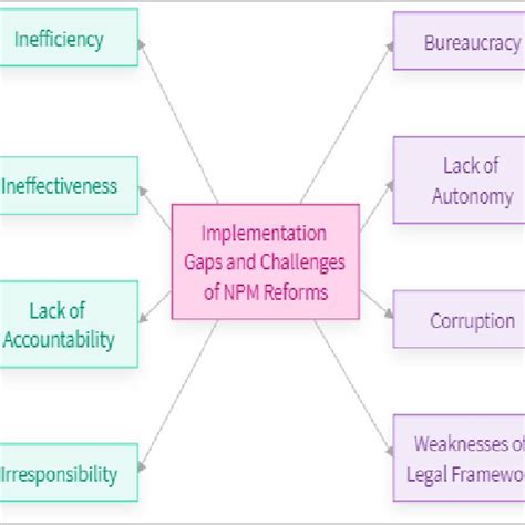 The Gaps And Challenges Of The Implementation Of The Npm Reforms