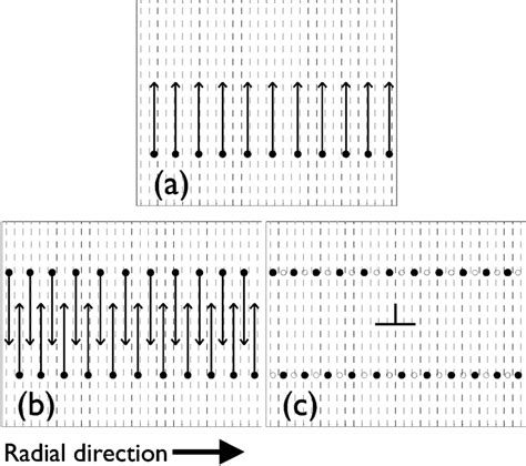 Interleaving Of Parallel Projection Detector Data Filled Circles In
