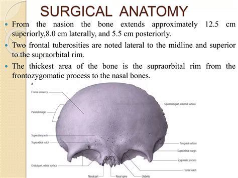 Frontal Bone Fracture Pptx