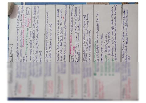 Solution Examples Of Animal Kingdom Class 11 Biology Studypool