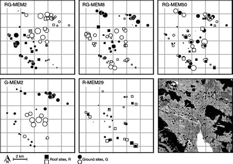 Morans Eigenvector Maps Mem Five Examples Of Fitted Sampling Site