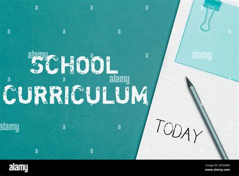 Conceptual Display Babe Curriculum Business Approach Designed To