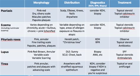 Papular Rash Differential