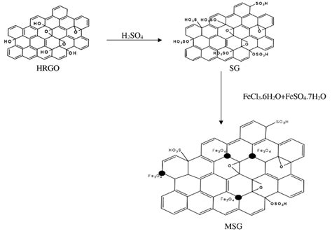 ­proposed­scheme­for­the­formation­of­sg­and­msg Download Scientific