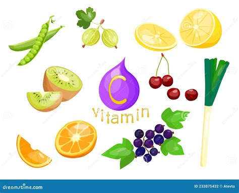 A Set Of Sources Of Vitamin C Ascorbic Acid Vector Cartoon
