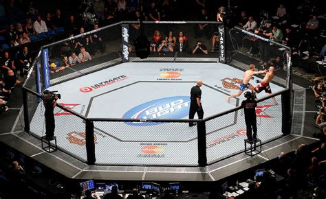 Mma Cages Pro Mma Cages Pro Mma