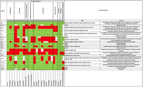 Genotypic Versus Phenotypic Resistance In Selected Isolates Of E Coli Download Scientific