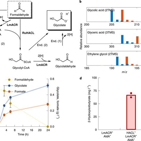 2 Hydroxyacyl Coa Lyase Catalyzes Acyloin Condensation For One Carbon