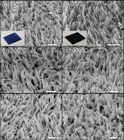 Figure 1 From Core Shell Moo3 Mos2 Nanowires For Hydrogen Evolution A Functional Design For