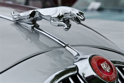 Jaguar Car With Hood Ornament At Jamie Stonehouse Blog