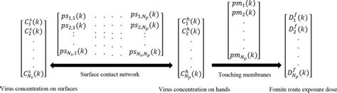 Diagram Of The Surface Contact Network And Fomite Route Exposure Model