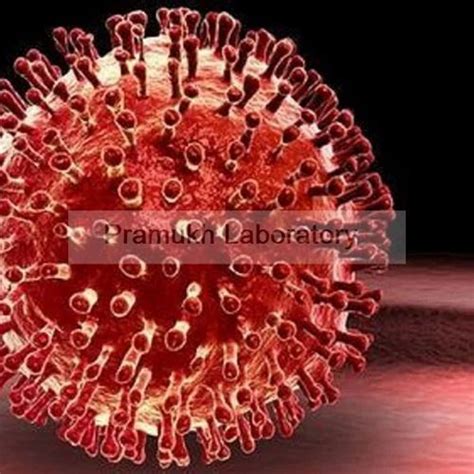 Unknown Bacteria Testing Services At Rs 1199sample In Ahmedabad Id