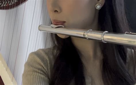 宝可梦 未白镇 长笛版 刘一诺noral Flute 刘一诺noral Flute 哔哩哔哩视频
