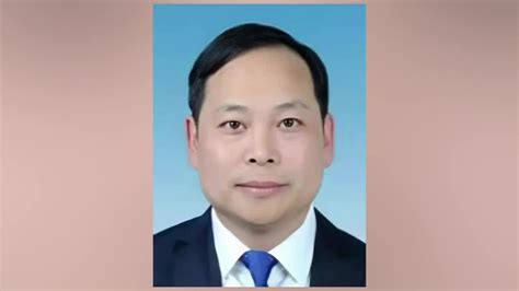 上午刚看完反腐专题片，世界500强企业一副总下午主动投案凤凰网视频凤凰网