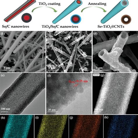 A Scheme For The Synthesis Of Se‐tio2cnts B Sem Image Of Se‐c Download Scientific Diagram A Scheme For The Synthesis Of Se‐tio2cnts B Sem Image Of Se‐c Download Scientific Diagram