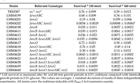 Table 1 From Chromosome Segregation And Cell Division Defects In Escherichia Coli Recombination