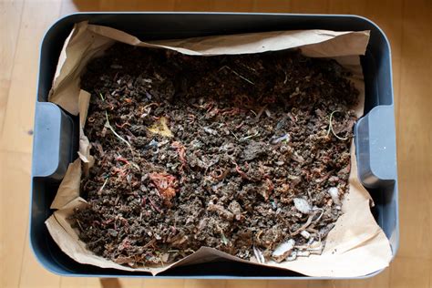 Easy Diy Worm Composter