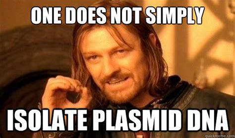 One Does Not Simply Isolate Plasmid Dna Boromir Quickmeme
