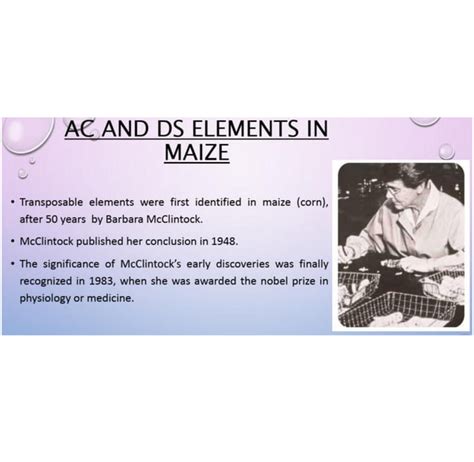 Transposable Elementpdf