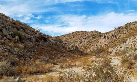 Fail Vs Pass Rtacticalgear